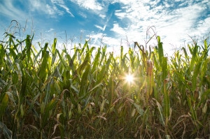 How to Easily Boost a Blue Sky in Lightroom