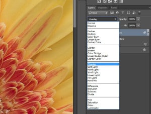 How to Sharpen Your Photos in Photoshop