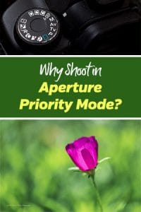 Why Shoot in Aperture Priority Mode?