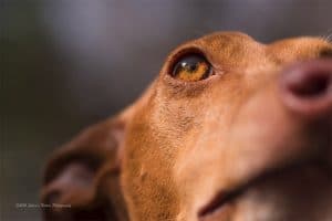 Photographing Macro Moments: 5 Tips