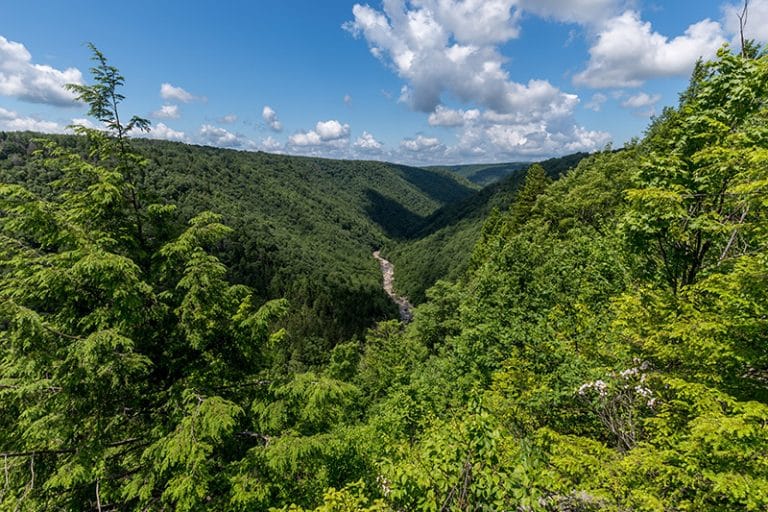 Photography Guide to Blackwater Falls State Park (West Virginia)