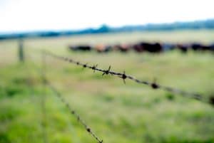 7 Tips for Focusing on Fine Details in Your Landscape Photography