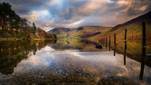 7 Tips for Focusing on Fine Details in Your Landscape Photography