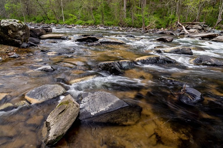 Photography Guide to Gunpowder Falls State Park (Maryland)