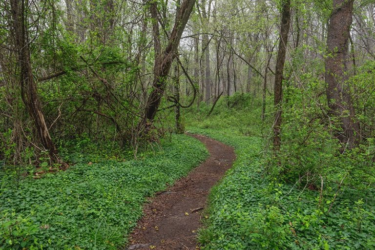 Photography Guide to Gunpowder Falls State Park (Maryland)