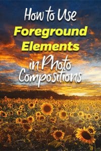 Tips on How To Use Foreground Elements in Your Compositions