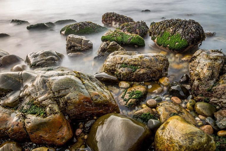 The Photographer's Notebook: Guide to Acadia National Park