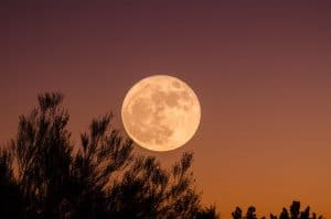 How to Photograph a Moonrise