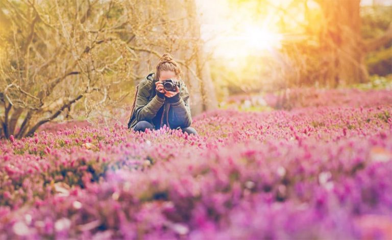 Spring Photography: Ideas, Tips, and Example Photographs