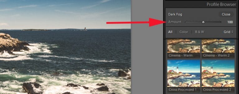 How to Use Profiles in Lightroom and Camera Raw