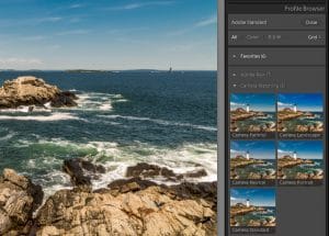 How to Use Profiles in Lightroom and Camera Raw
