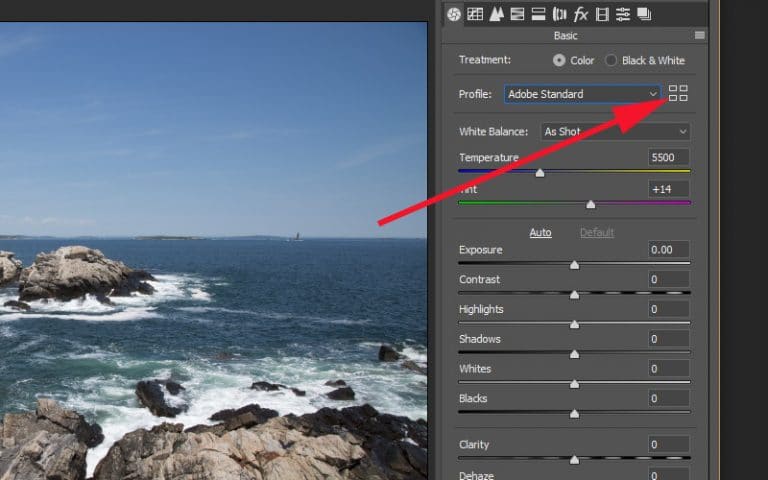 How to Use Profiles in Lightroom and Camera Raw