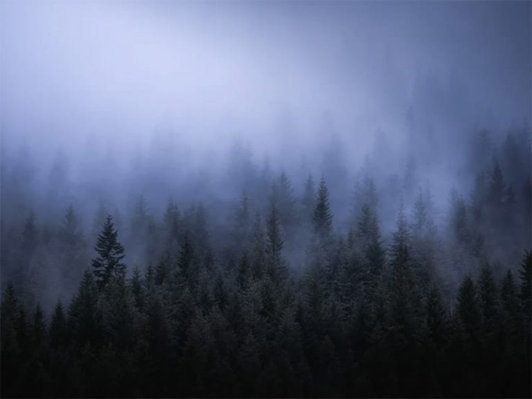 Fog and Mist: Tips, Photoshop, and Beautiful Examples