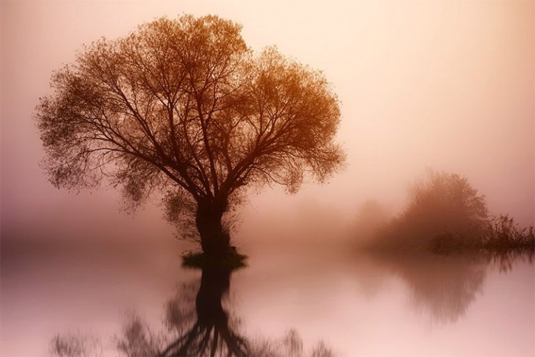 Fog and Mist: Tips, Photoshop, and Beautiful Examples
