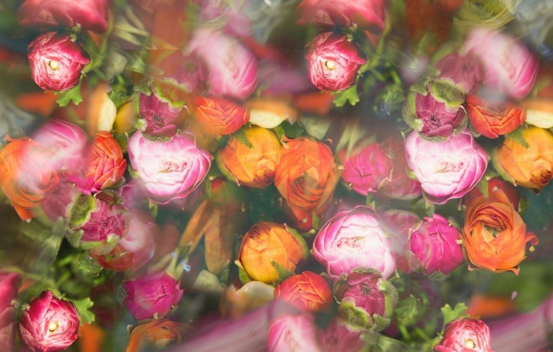 The Ultimate Guide To Prism Photography | Loaded Landscapes