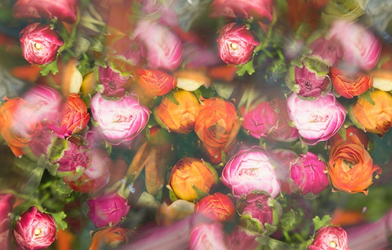 The Ultimate Guide To Prism Photography | Loaded Landscapes