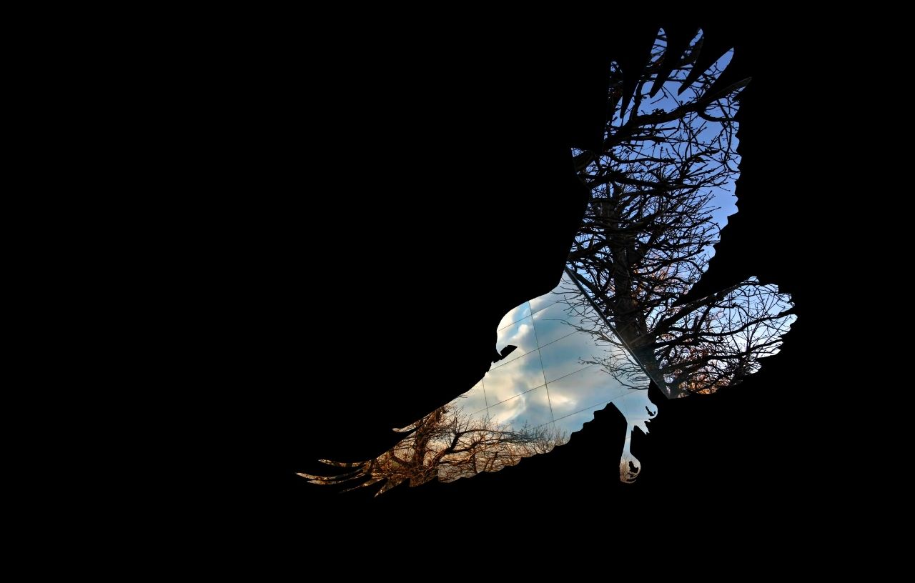 The Ultimate Guide To Prism Photography | Loaded Landscapes